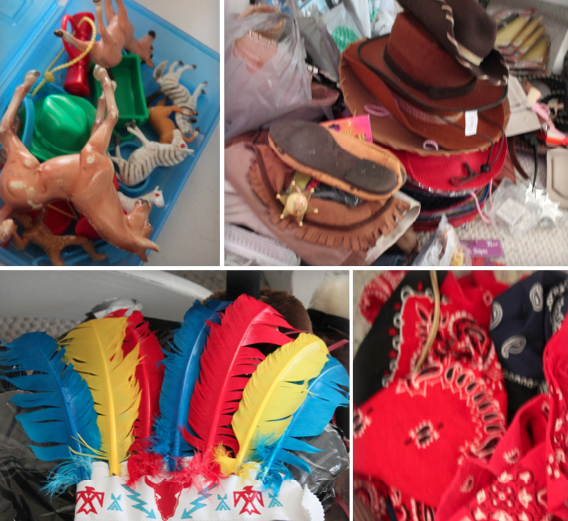 Settler Educators Teaching Indigenous Perspectives and History